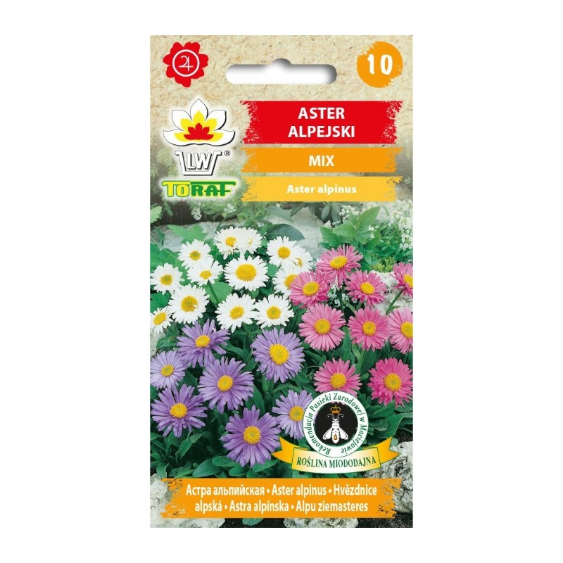Aster alpinus Mix | Bloemenzaden kopen | ietsGezond.nl